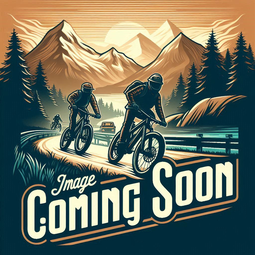 Tr1/Tr3 Adult Trike Rear End Rear Frame W/ Axle And Cog,Blk Tr1/Tr3 Re ...